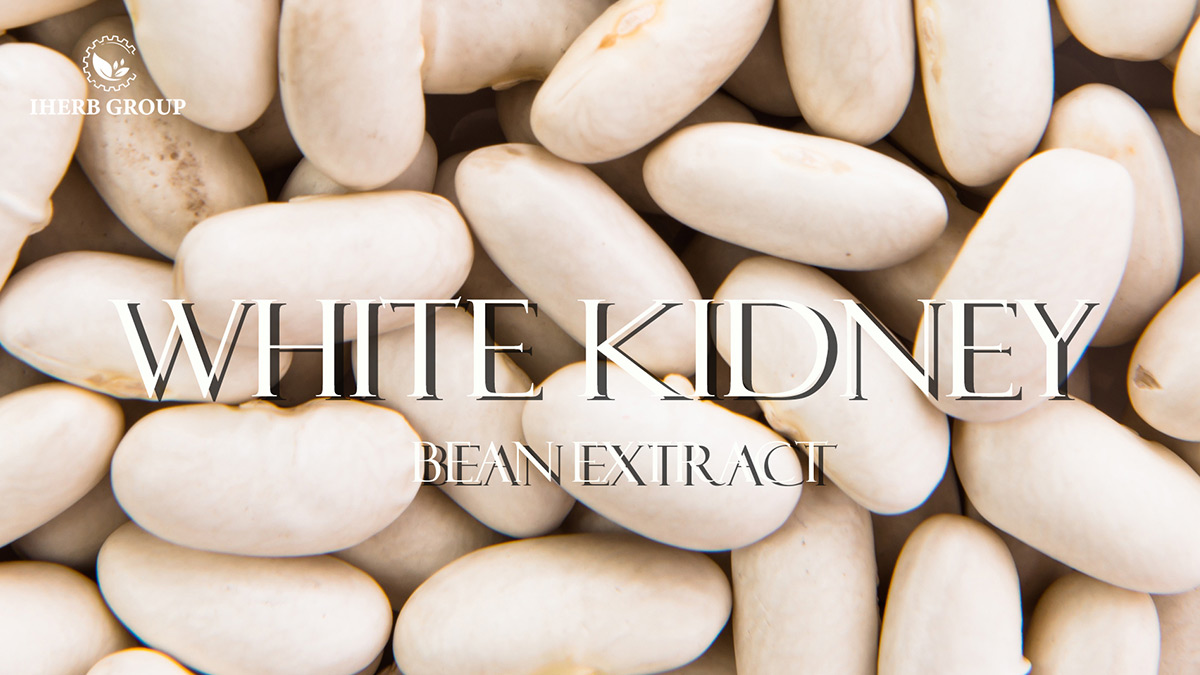 สารสกัดจากถั่วขาว - iherb รับสร้างแบรนด์อาหารเสริมครบวงจร